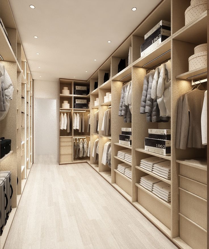Walk-in Closet Design Ideas: From Layout to Lighting - Pinnacle Housing ...